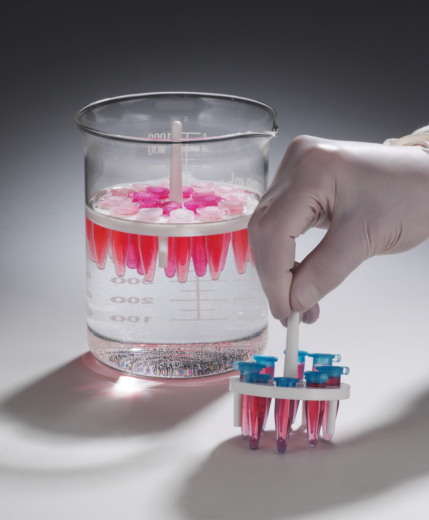 SP Bel-Art | SP Bel-Art Round Microcentrifuge Floating Racks; For 1.5ml ...