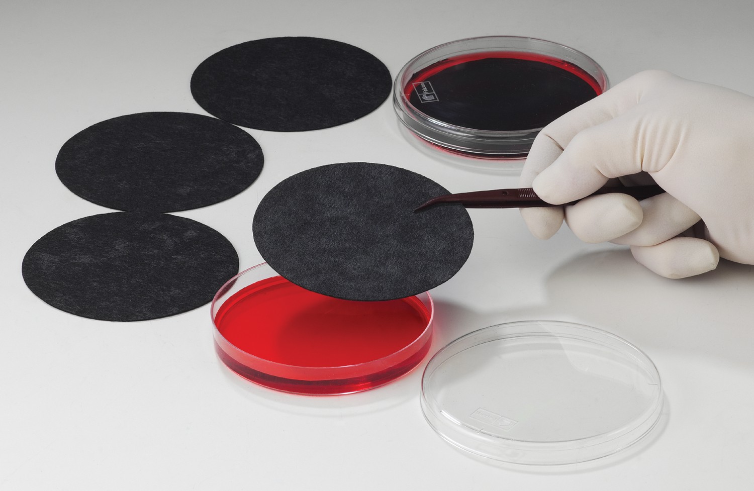 Charcoal Disks | SP Scienceware