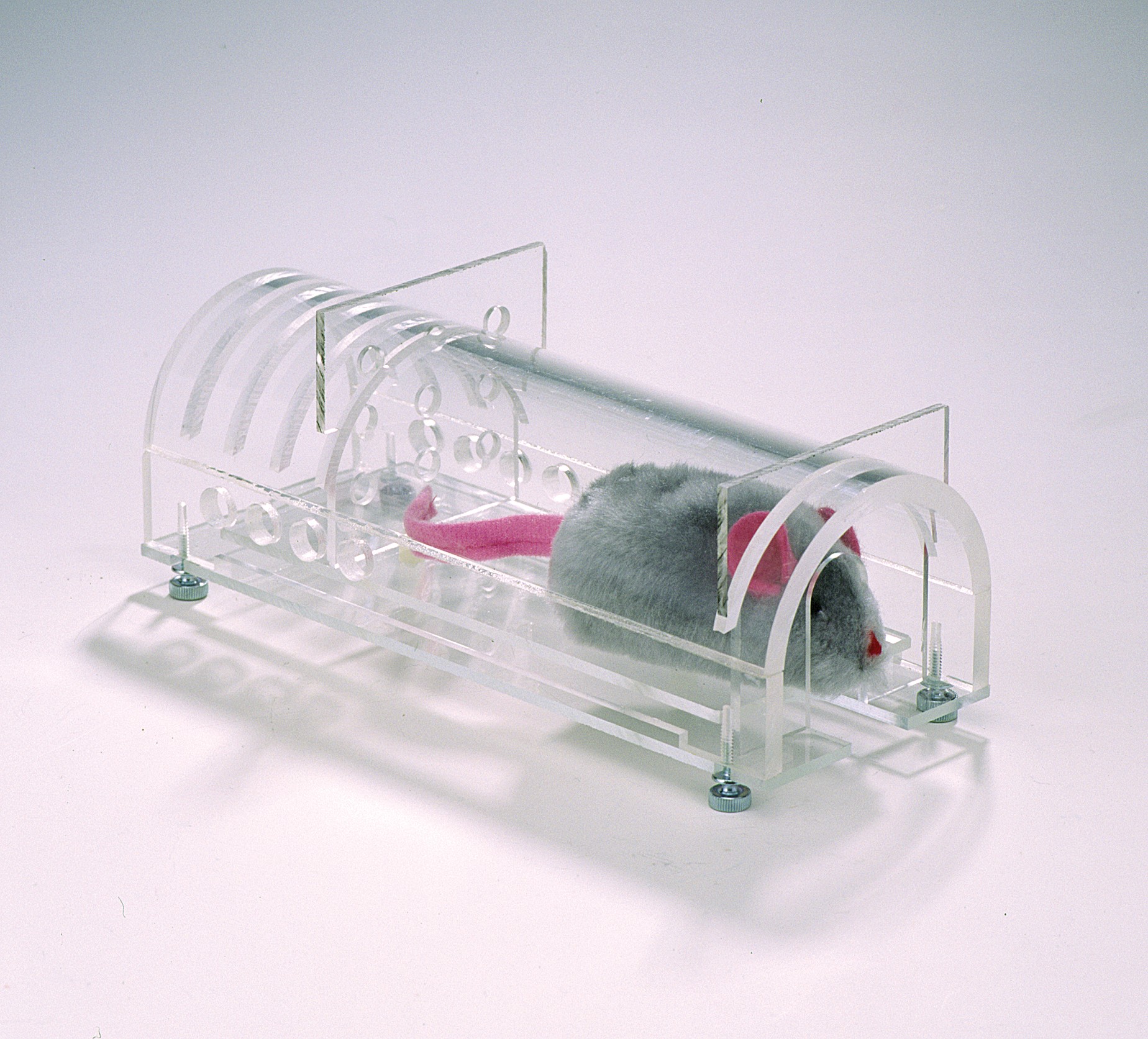 Bel-Art Universal Animal Restrainer for 10-40 Gram Mice; Acrylic | SP ...
